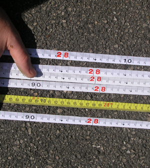 Survey Measurements